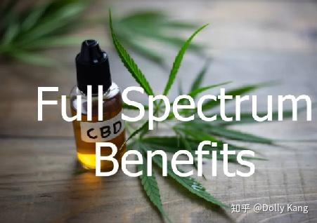 什么是全谱CBD (Full Spectrum CBD) - 知乎