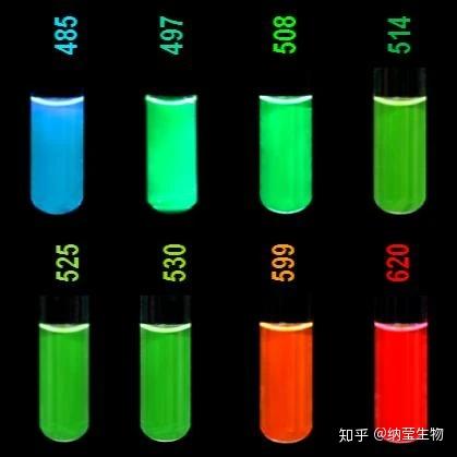 如何选择合适的HBC荧光染料进行研究？ - 知乎