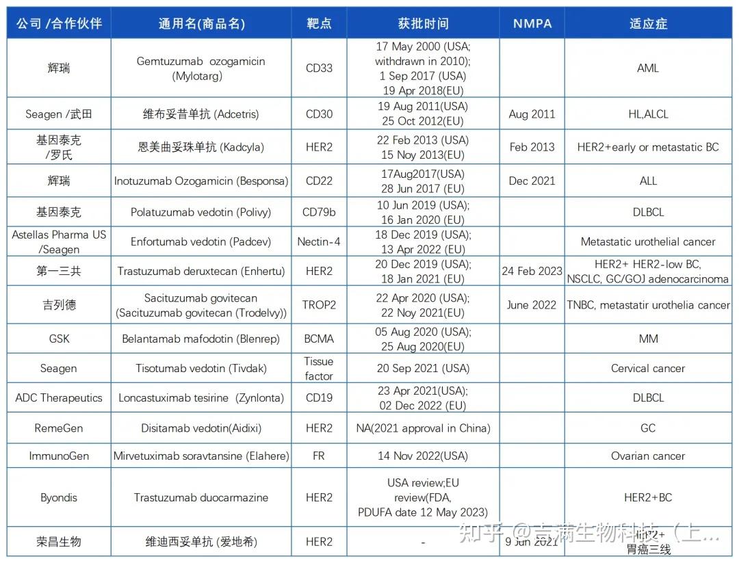 DT3C重组蛋白，检测细胞内化mAb效率的有效工具 - 知乎