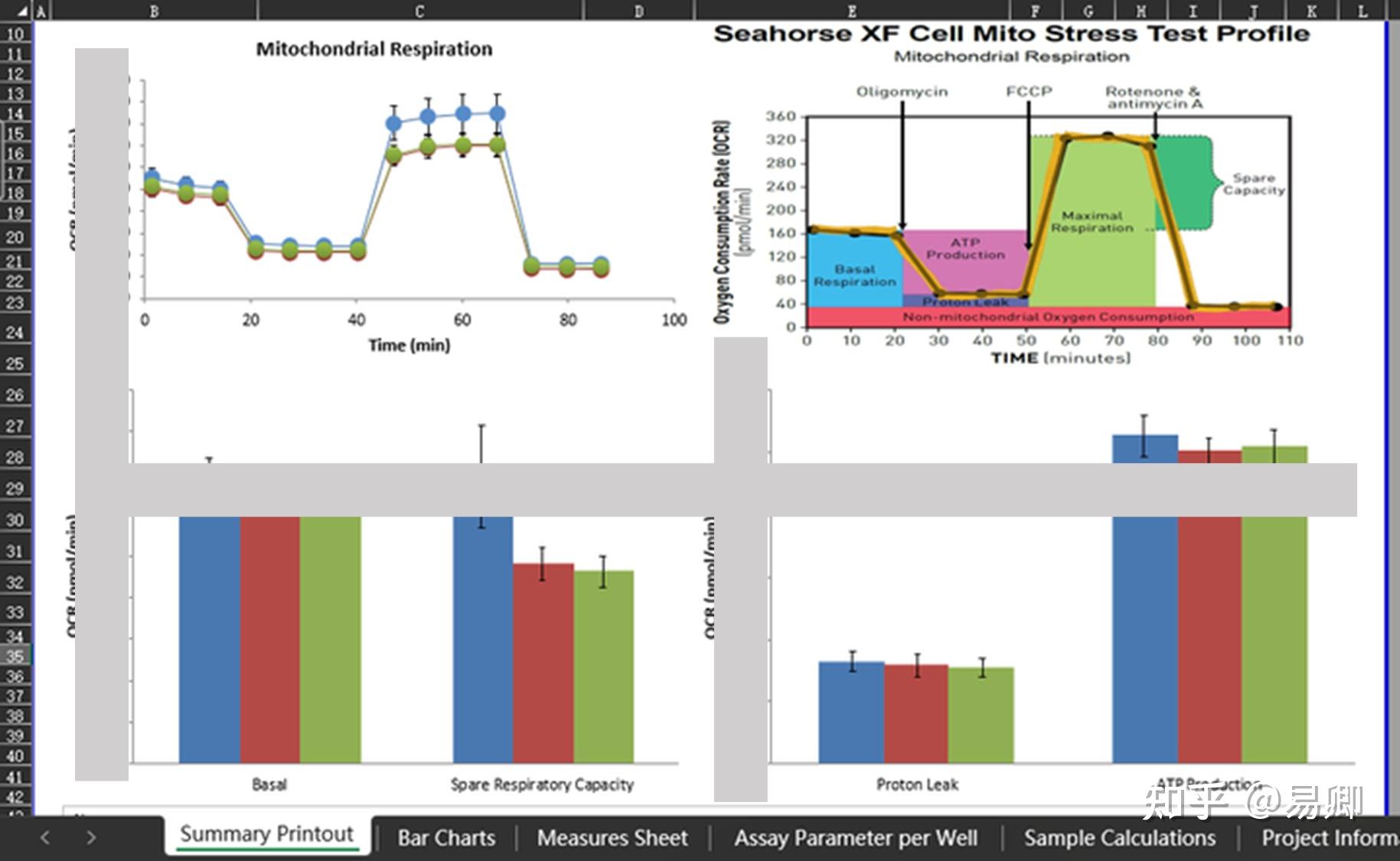 一文读懂！Seahorse数据统计分析——OCR、ECAR - 知乎