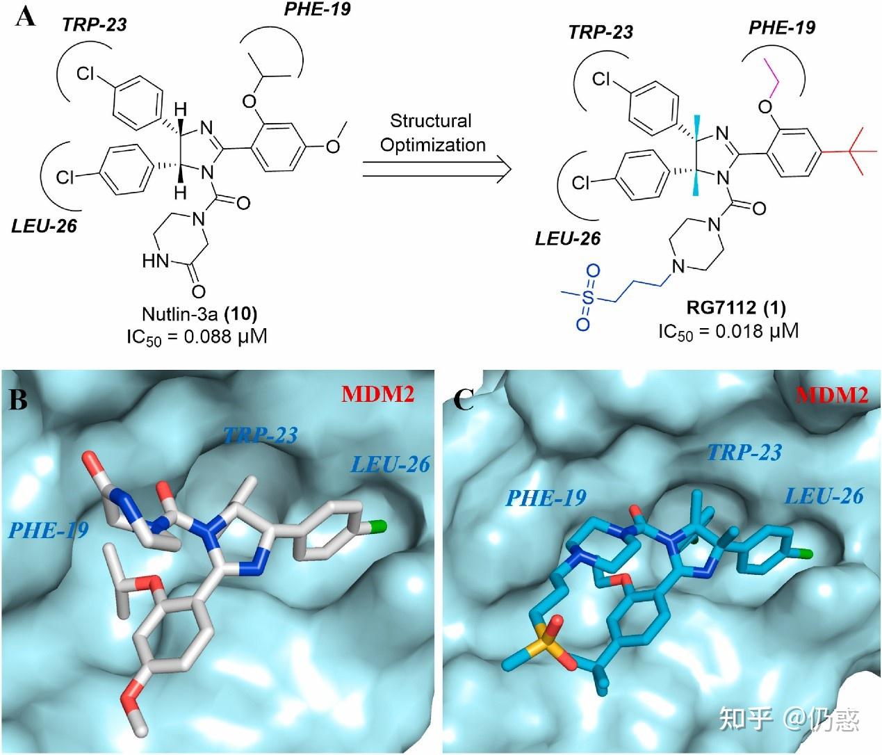 MDM2小分子抑制剂的临床研究进展 - 知乎