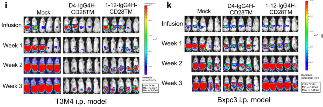 Revvity IVIS活体成像助力纳米抗体的靶点筛选及开发-上海玮驰仪器有限公司