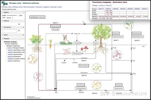 数据库 | NAR | KEGG：生物系统数据库作为真实世界的模型 - 知乎