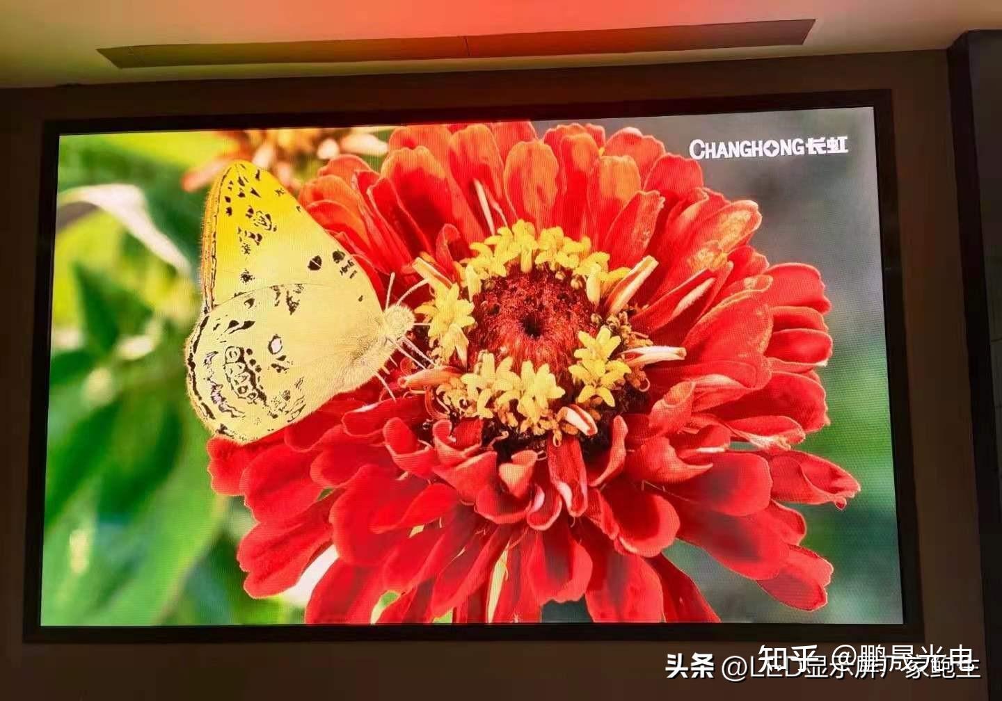 LED显示屏P2.5是什么意思？有哪些性能特点和优势以及应用场所 - 知乎