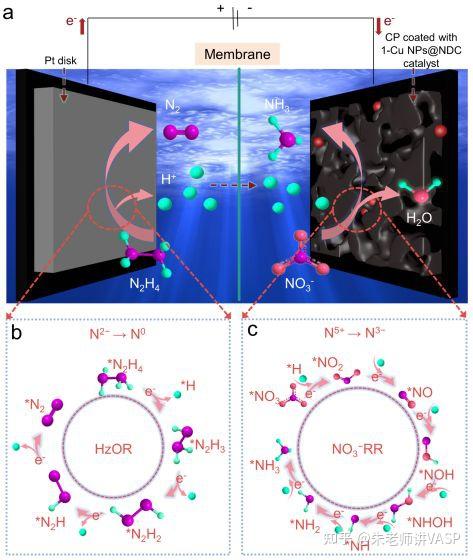 AFM：通过电催化硝酸根还原耦合肼氧化实现“双向氮中和” - 知乎
