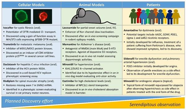 综述：表型药物发现（PDD）篇：研发FIC新药的利器 - 知乎