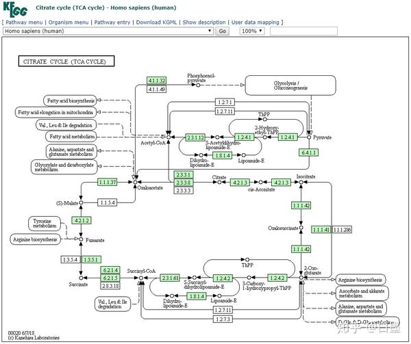 一文快速读懂 KEGG 数据库与通路图 - 知乎