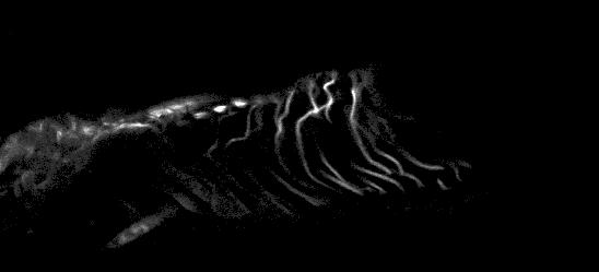 ImageJ实用教程——Depth-Color Code(插件篇) - 知乎