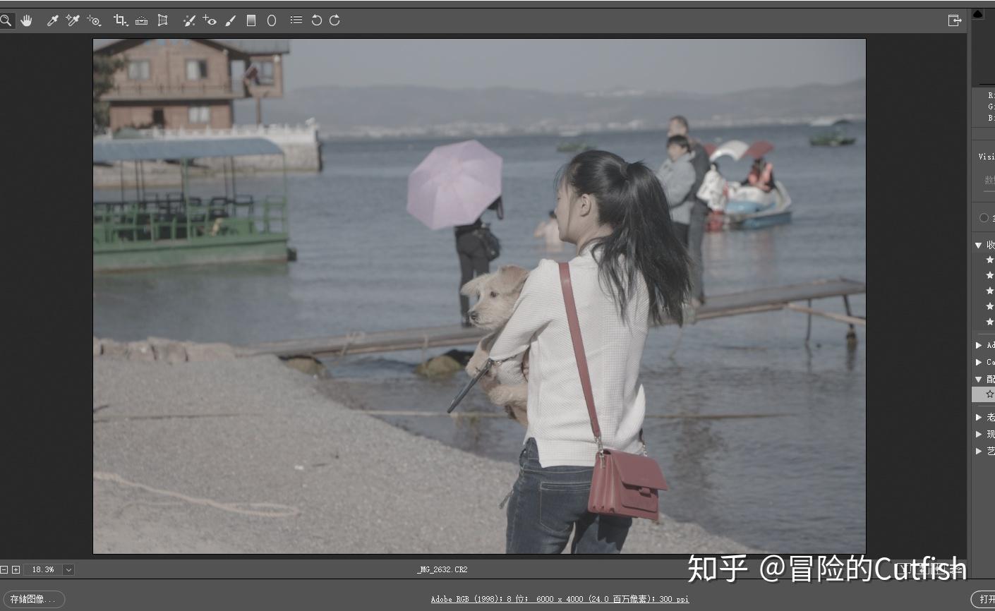 在Bridge cc中不能使用camera raw 的编辑功能，解决方法 - 知乎
