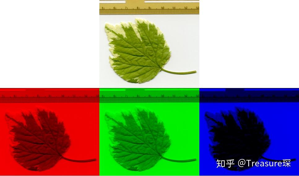 ImageJ实用教程——伪彩与Calibration Bar(基本功能篇) - 知乎