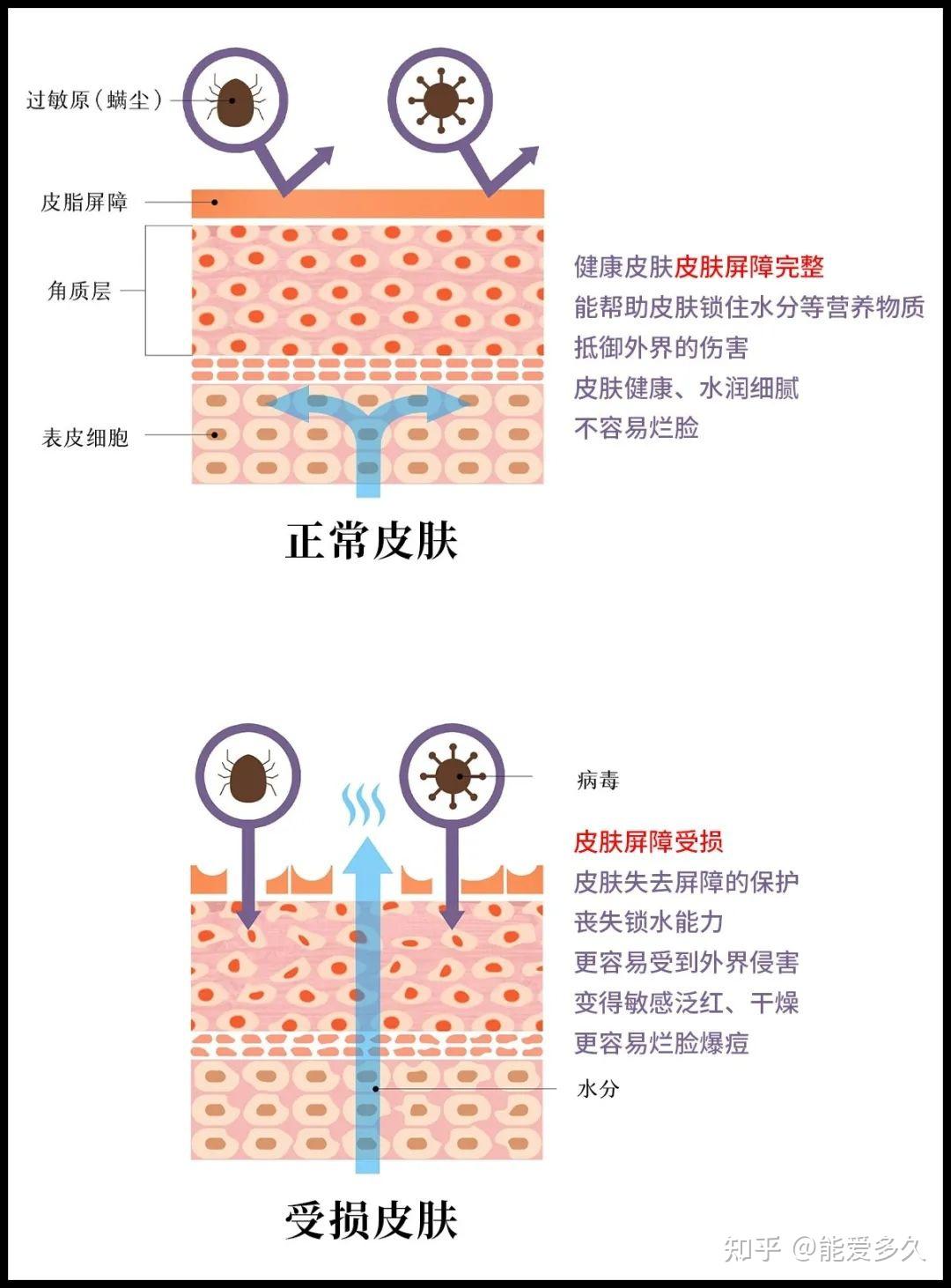 女生怎么做到不化妆也很漂亮 ??? 知乎