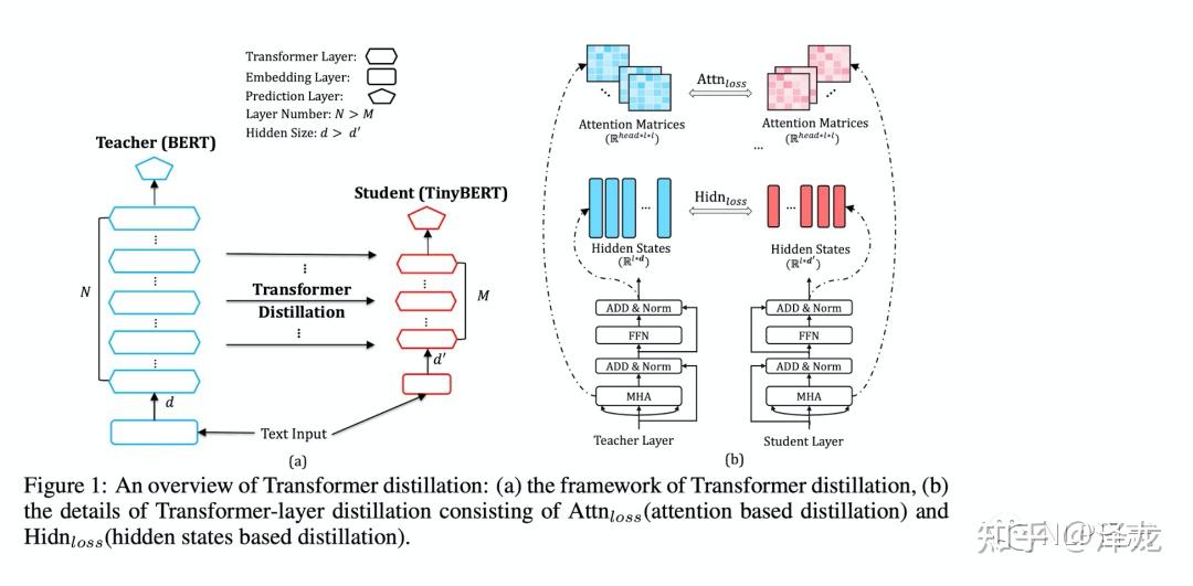 Bert系列之知识蒸馏 - 知乎