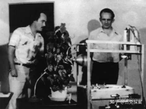 植物真的存在意识和感情吗？ - 知乎