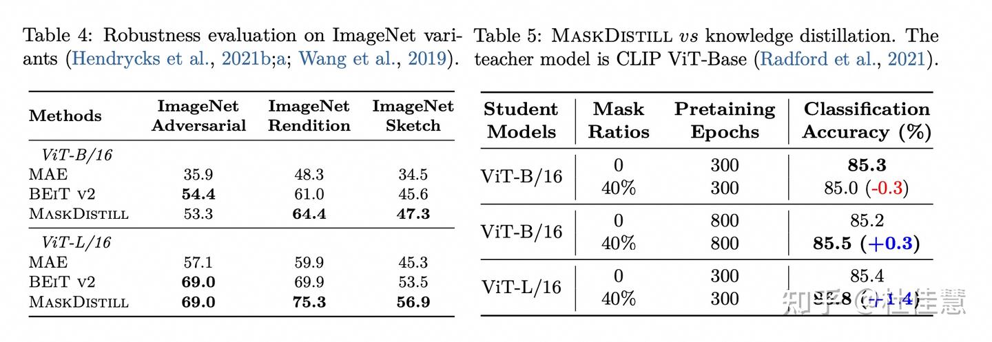 A Unified View of Masked Image Modeling - 知乎