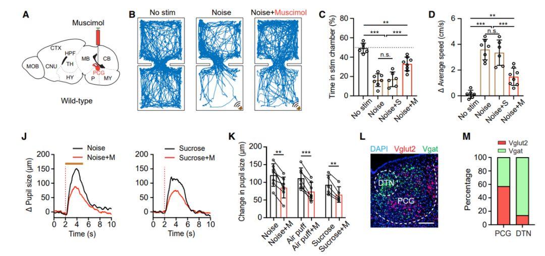 Neuron：信息爆炸？大脑特定神经网络精细调控过滤“无价值”信息 - 知乎