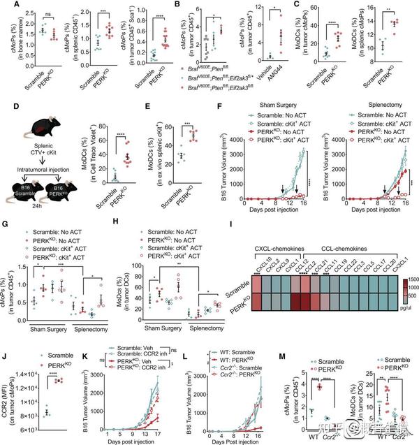cancer cell|内质网应激的癌细胞如何调节抗肿瘤免疫？ - 知乎