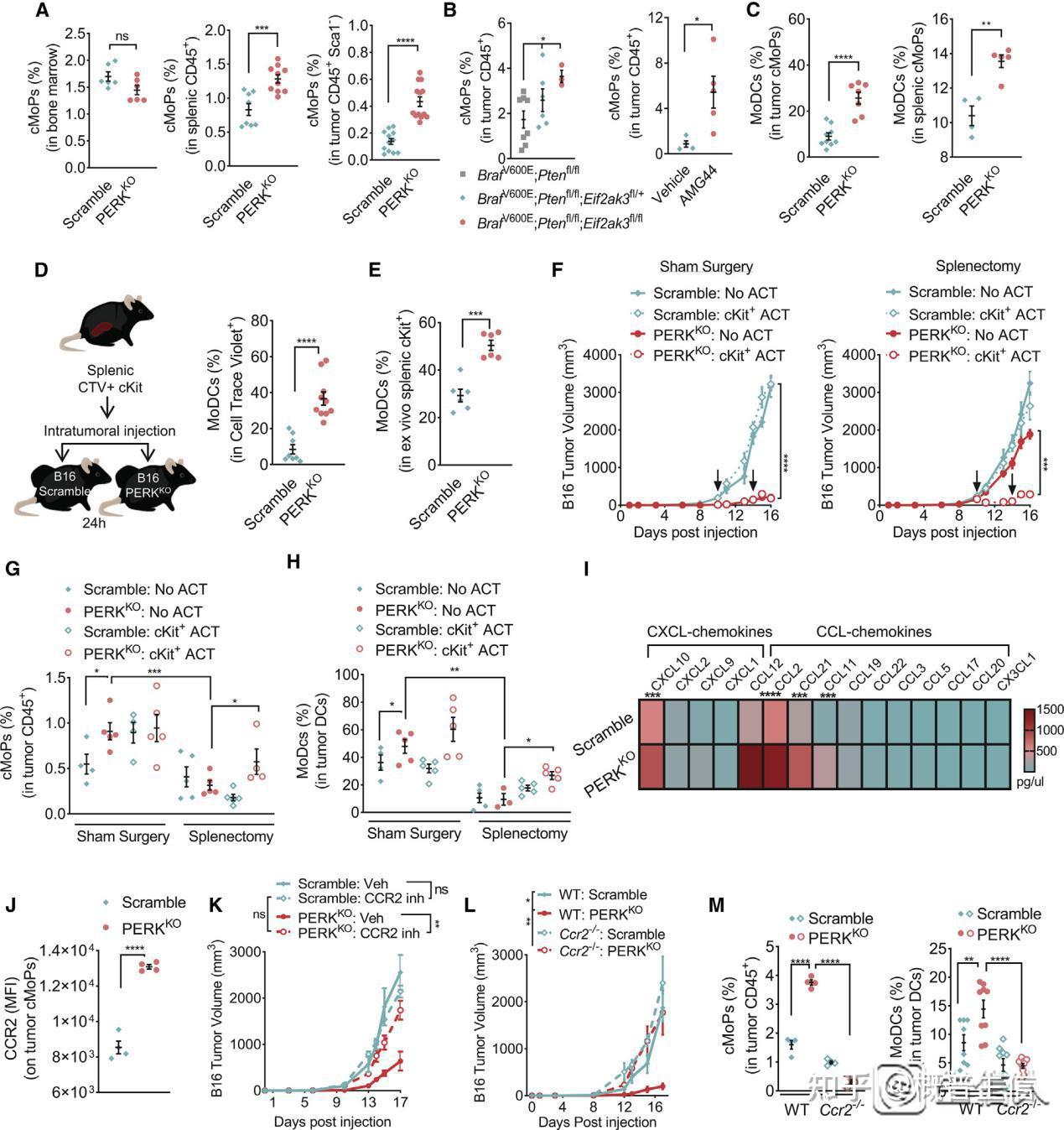 cancer cell|内质网应激的癌细胞如何调节抗肿瘤免疫？ - 知乎