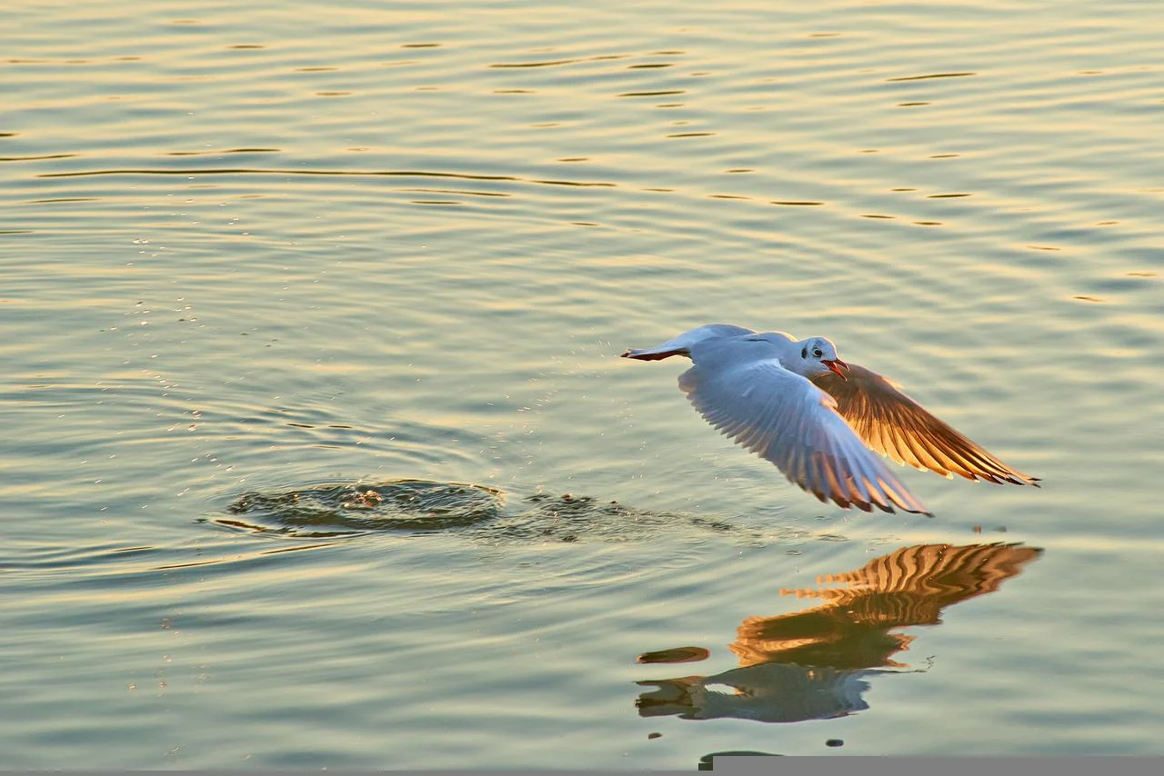 Serverless 遇到 FinOps: Economical Serverless - 知乎