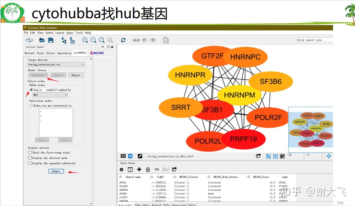 使用Cytoscape插件进行高级美化 - 知乎
