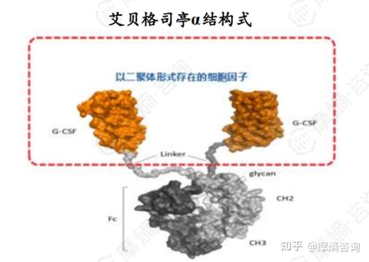 7 款PEG-rhG-CSF产品上市，瓜分百亿蛋糕！集落刺激因子市场的龙头与新贵 - 知乎