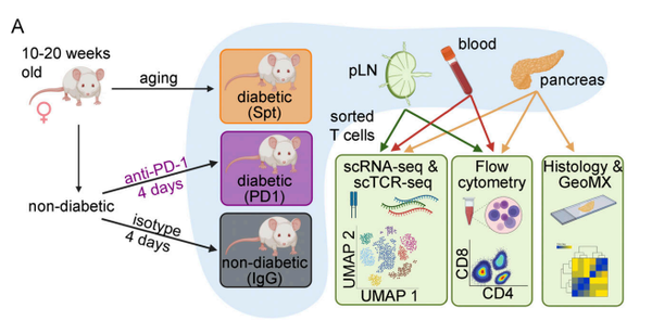 时空日报 | PLA2G2E介导的脂质代谢引发缺血性中风后脑自主神经修复 - 知乎