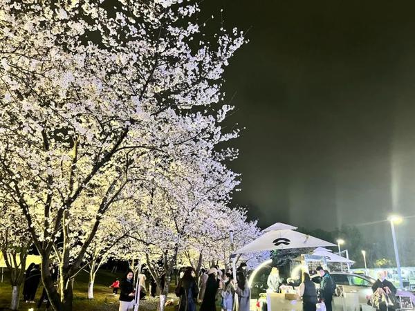 深入解析nbio框架 - 知乎