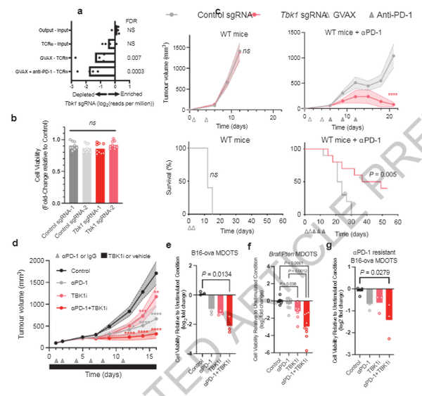Nature | 靶向TBK1克服免疫疗法耐药性 - 知乎