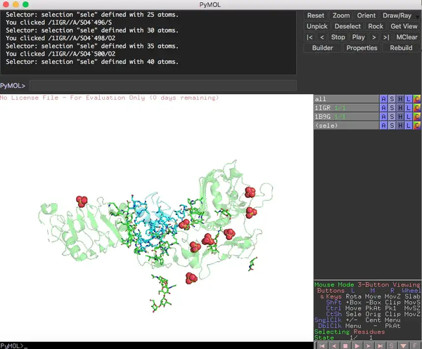 使用 PyMOL 可视化蛋白质-蛋白质对接 - 知乎