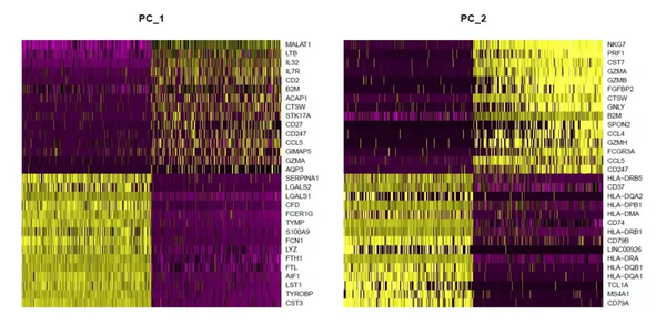 生信学习|单细胞转录组学习笔记之Seurat 3.0（一） - 知乎