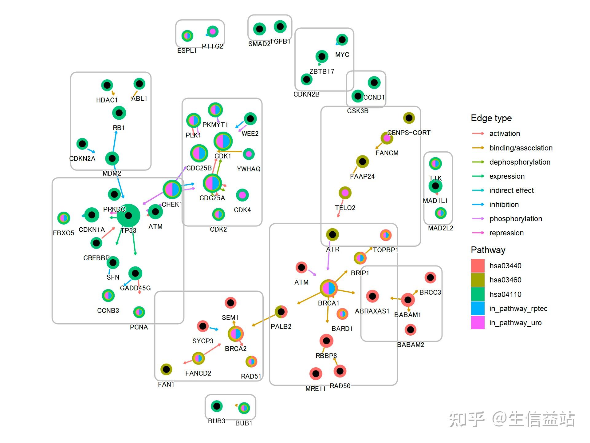 玩转KEGG(八)——ggkegg比较与可视化多个通路的多个富集结果 - 知乎