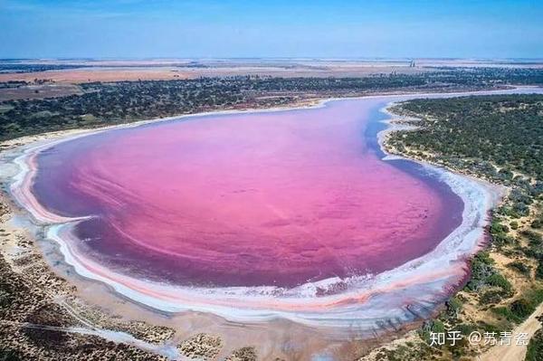 超全色号，一网打尽澳大利亚粉红湖！收藏起来，慢慢去 - 知乎