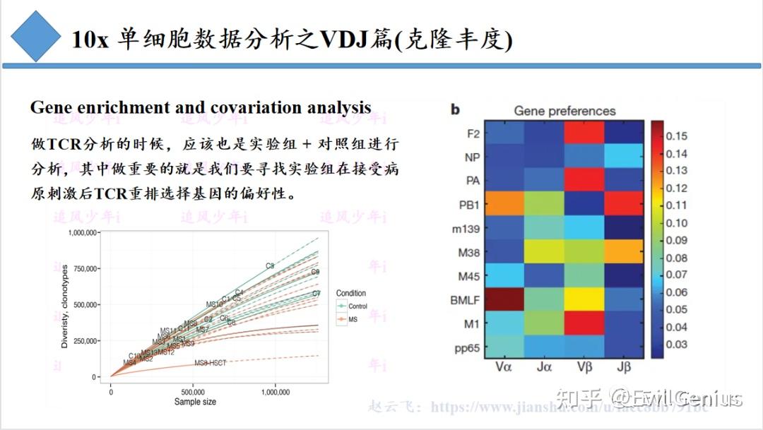 单细胞数据分析之VDJ篇公开课 - 知乎
