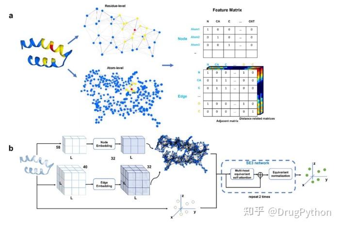 Bioinformatics|全原子图表示和SE(3)等变图Transformer来细化Alphafold等工具预测的蛋白质结构 - 知乎