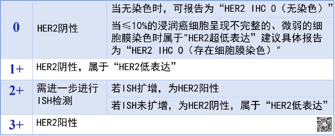 乳腺癌HER-2免疫组化检测判读标准及注意事项 - 知乎