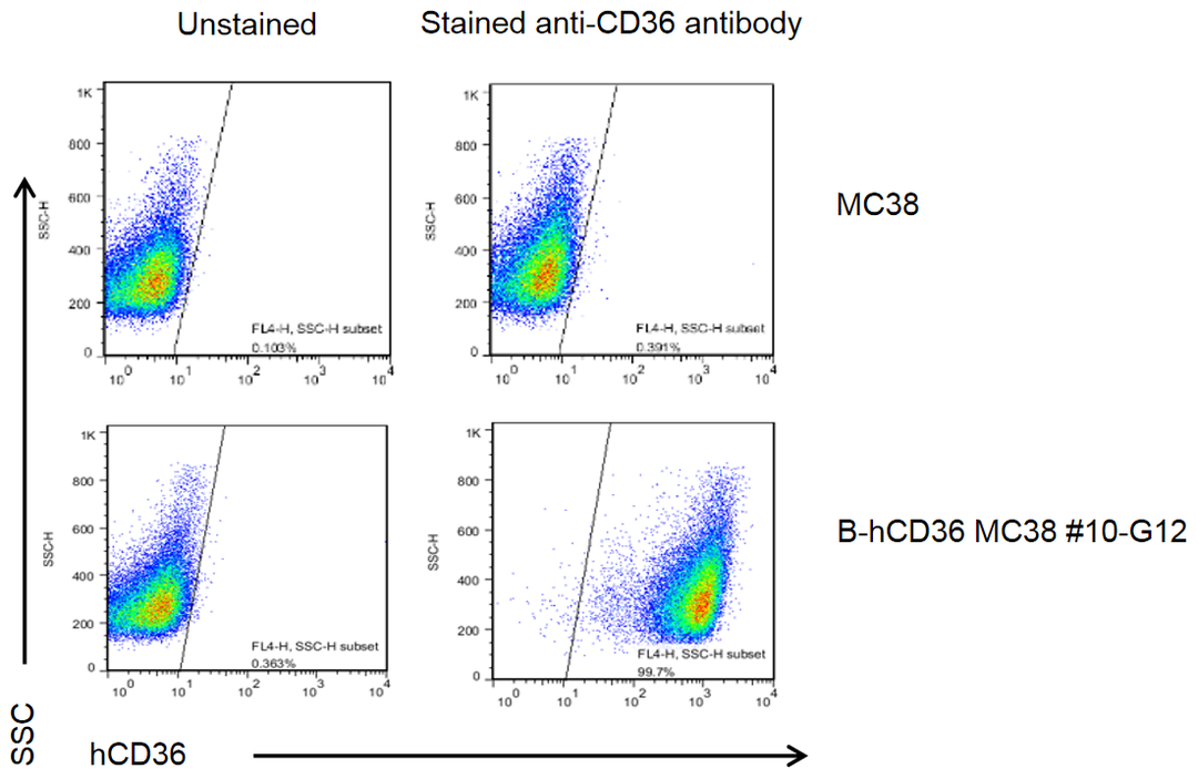 癌症治疗新靶点：清道夫受体CD36调控肿瘤免疫 - 知乎