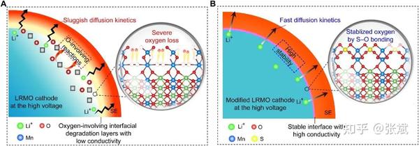 张强Science子刊：第一篇富锂锰基正极材料全固态电池-深水科技 - 知乎
