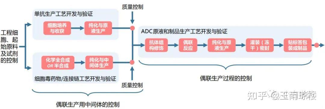 ADC药物CMC策略 - 知乎