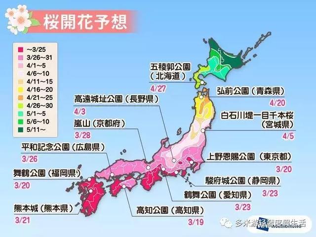 日本8大最佳赏樱地全攻略 请收好！ - 知乎