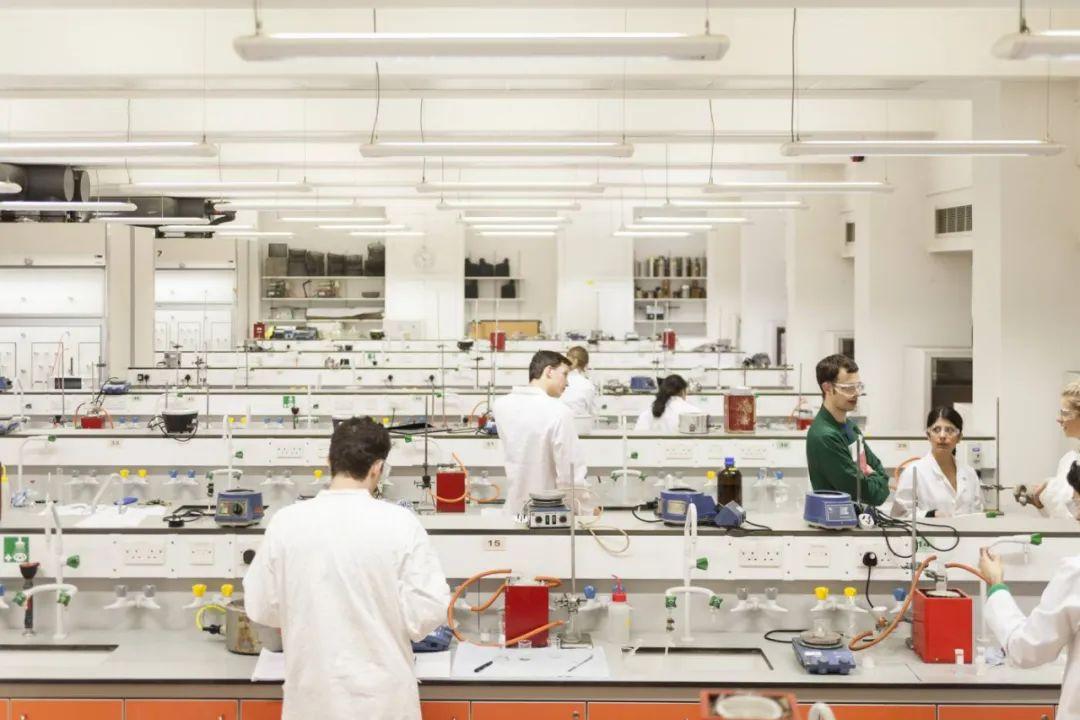 UCL专业“捡漏”篇：知道这个高质量专业offer率高，但是91%也太夸张了吧！ - 知乎