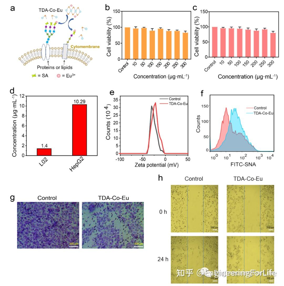《ACS Nano》：通过靶向唾液酸进行肿瘤诊断和治疗的镧系元素配合物 - 知乎