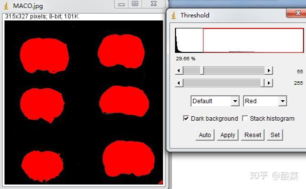 如何用ImageJ进行面积分析？ - 知乎