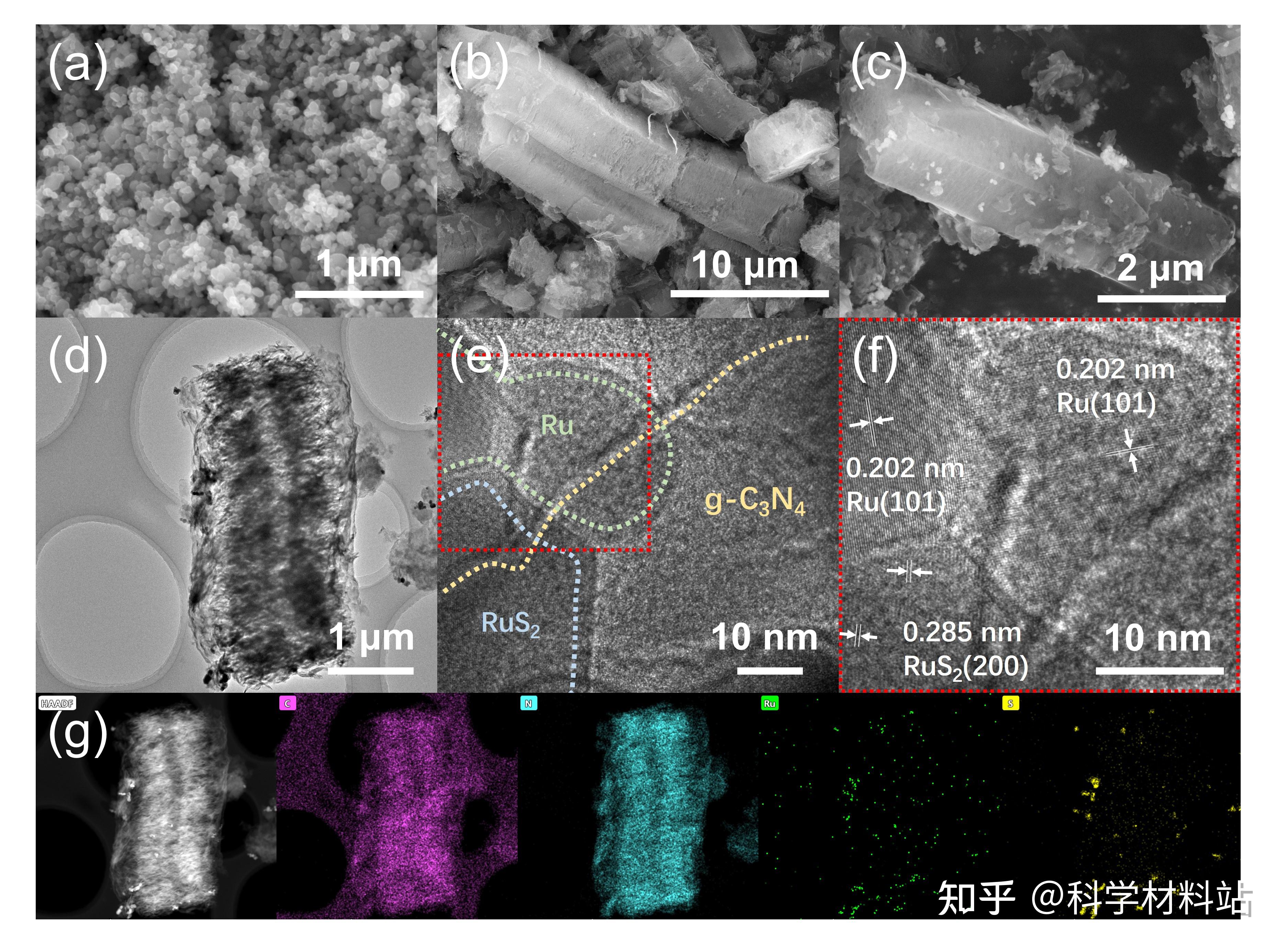 山东科技大学田健教授课题组Applied Catalysis B: Environmental观点：Ru/RuS2双助催化剂异质界面增强光催化 ...