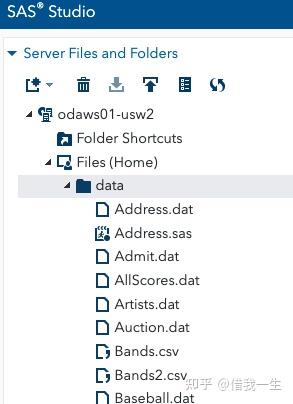 SAS系列03——数据导入 - 知乎