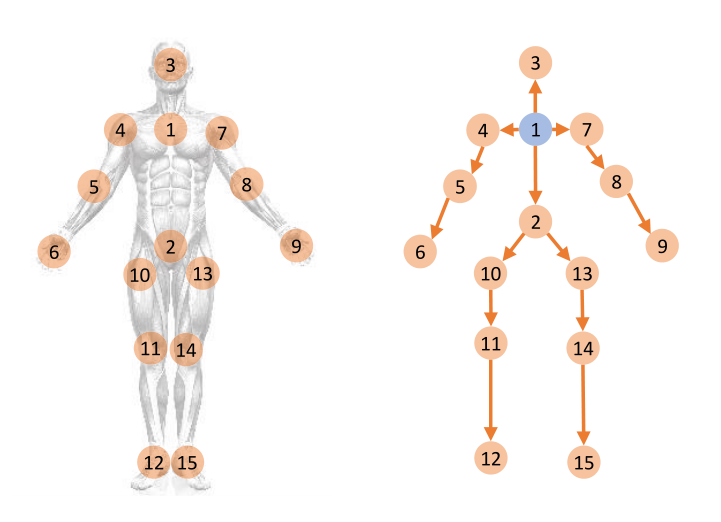 【骨骼行为识别】DGNN论文理解 - 知乎