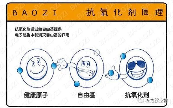 东之雪带你捋一捋氧化与抗氧化 知乎