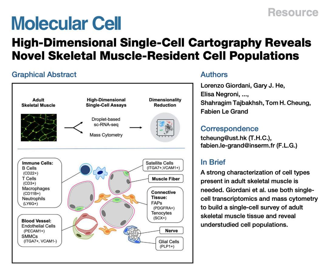 10x Genomics可以分析中性粒细胞（或其他粒细胞）吗？ - 知乎