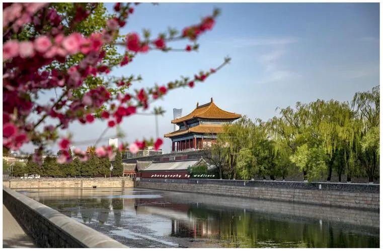 【最新】2026北京故宫年票正式开售！附网上订票指南(时间+入口)~ - 知乎