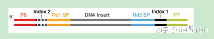 DNA-DNA序列二代测序？ - 知乎