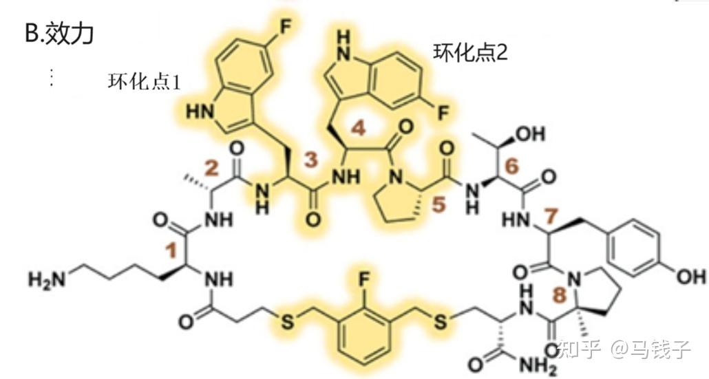 降脂药物的“王炸”——口服PCSK9抑制剂MK-0616环肽药物设计的前世今生 - 知乎
