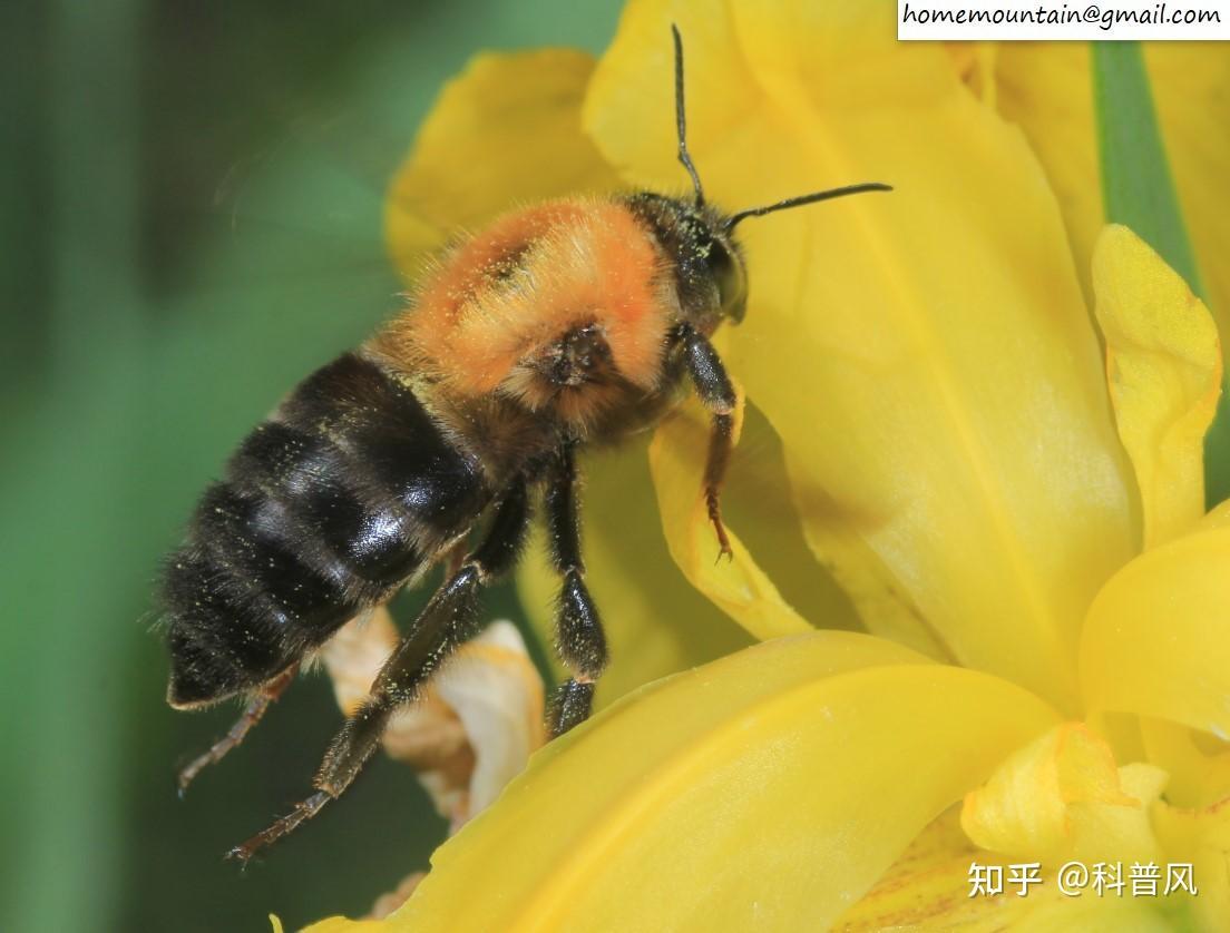 睡使惩崩——伦清 - 知乎